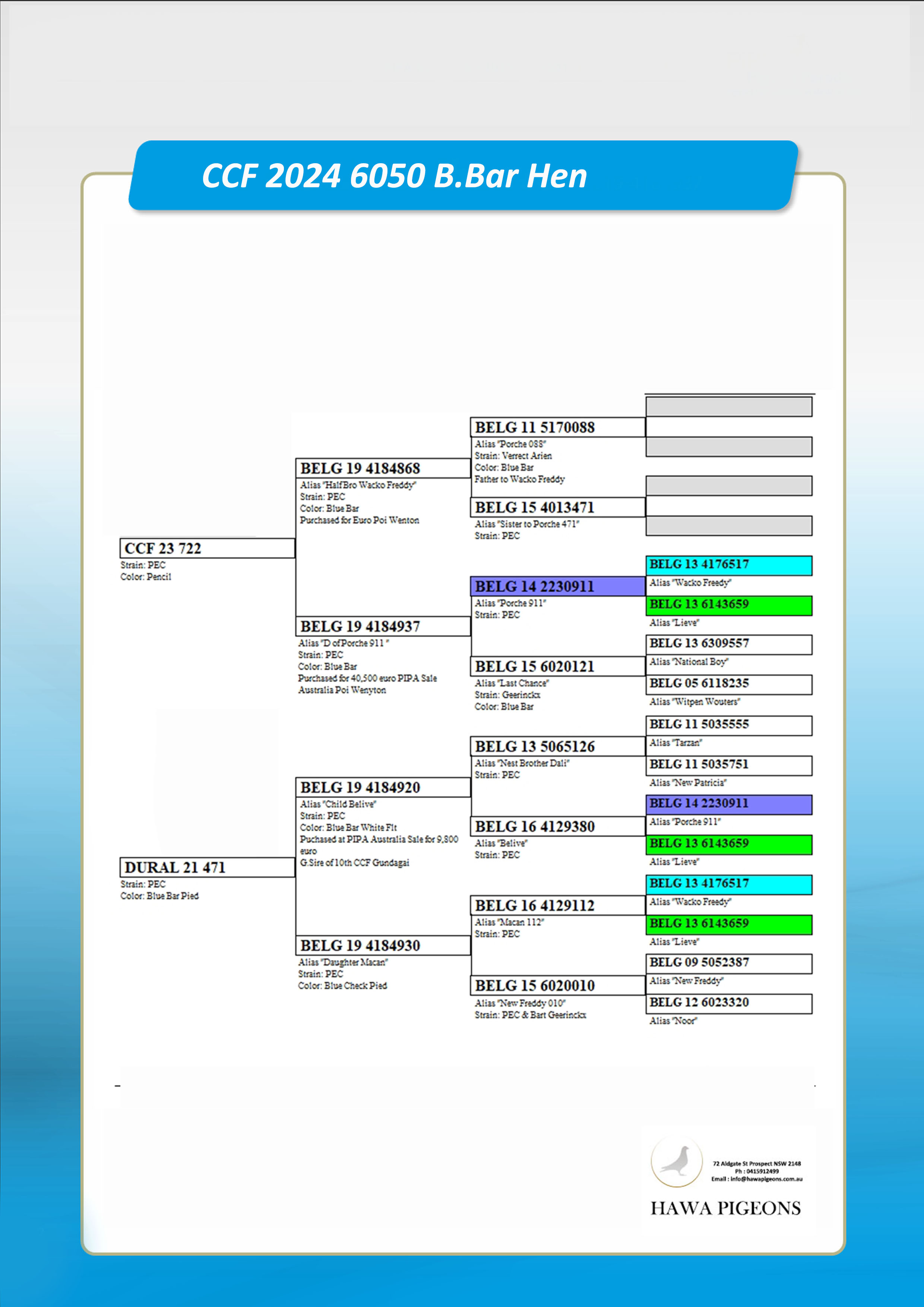 Lot 1 CCF 2024 6050 B.Bar Hen