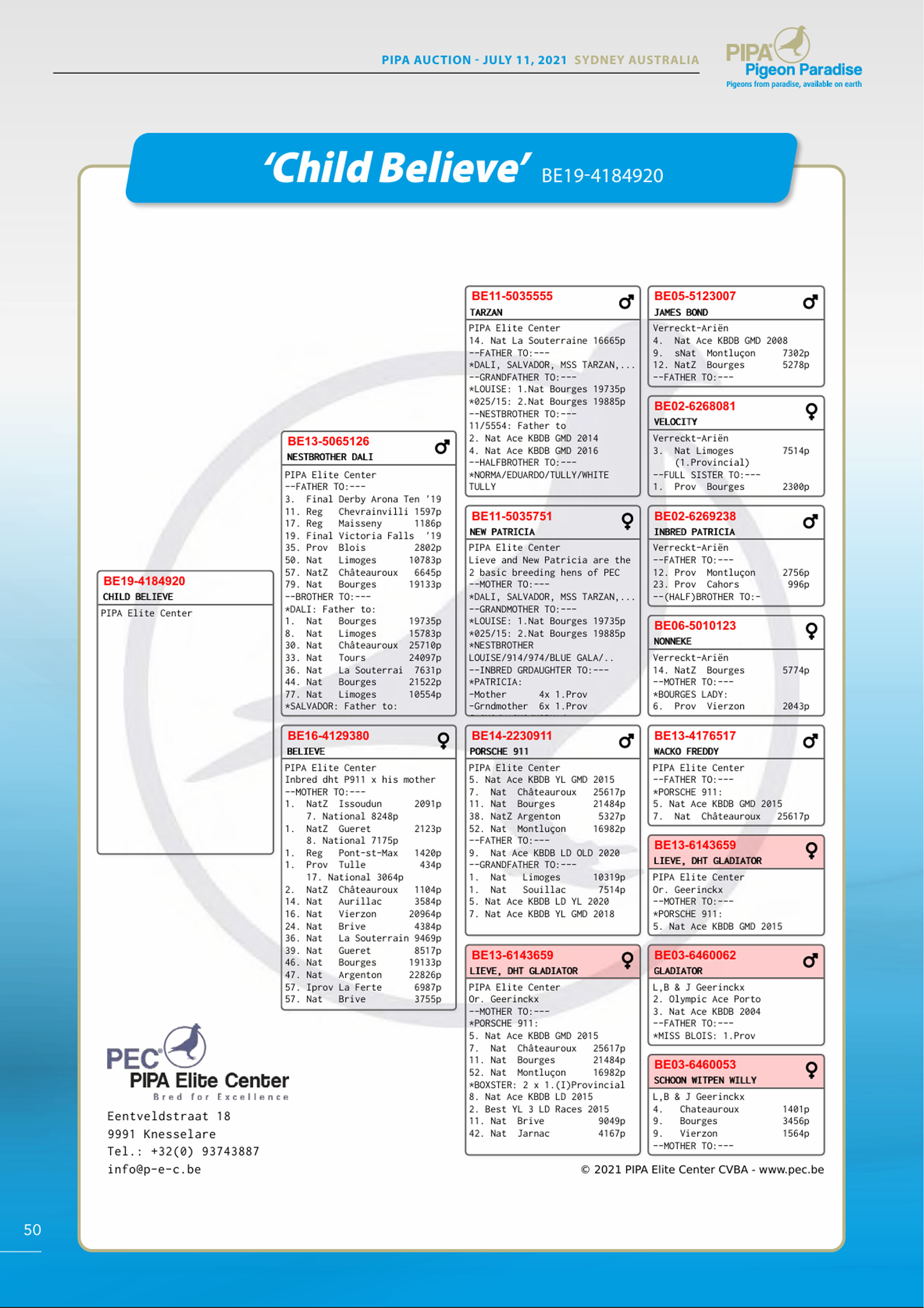 Lot 2 CCF 2024 6049 B.Bar Flighty Hen
