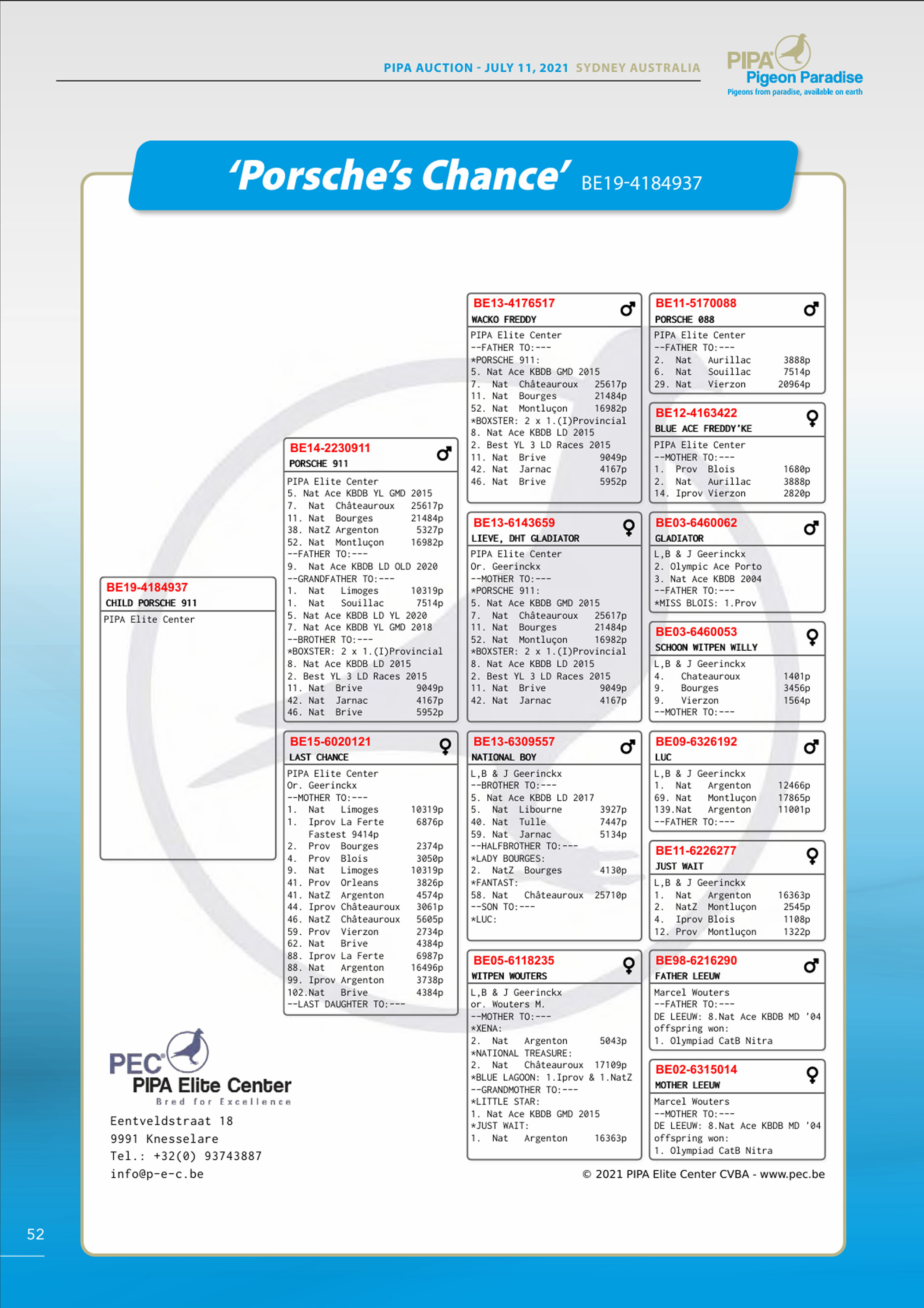 Lot 2 CCF 2024 6049 B.Bar Flighty Hen